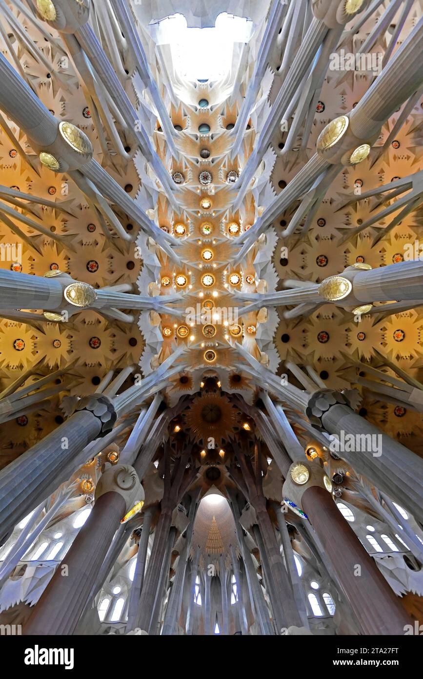 Ceiling vault of the Sagrada Familia or Basilica i Temple Expiatori de ...
