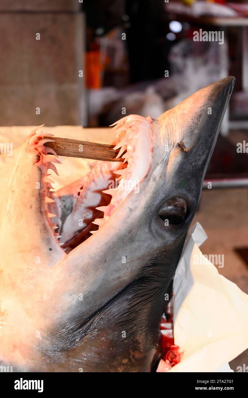 Fish head hi-res stock photography and images - Alamy