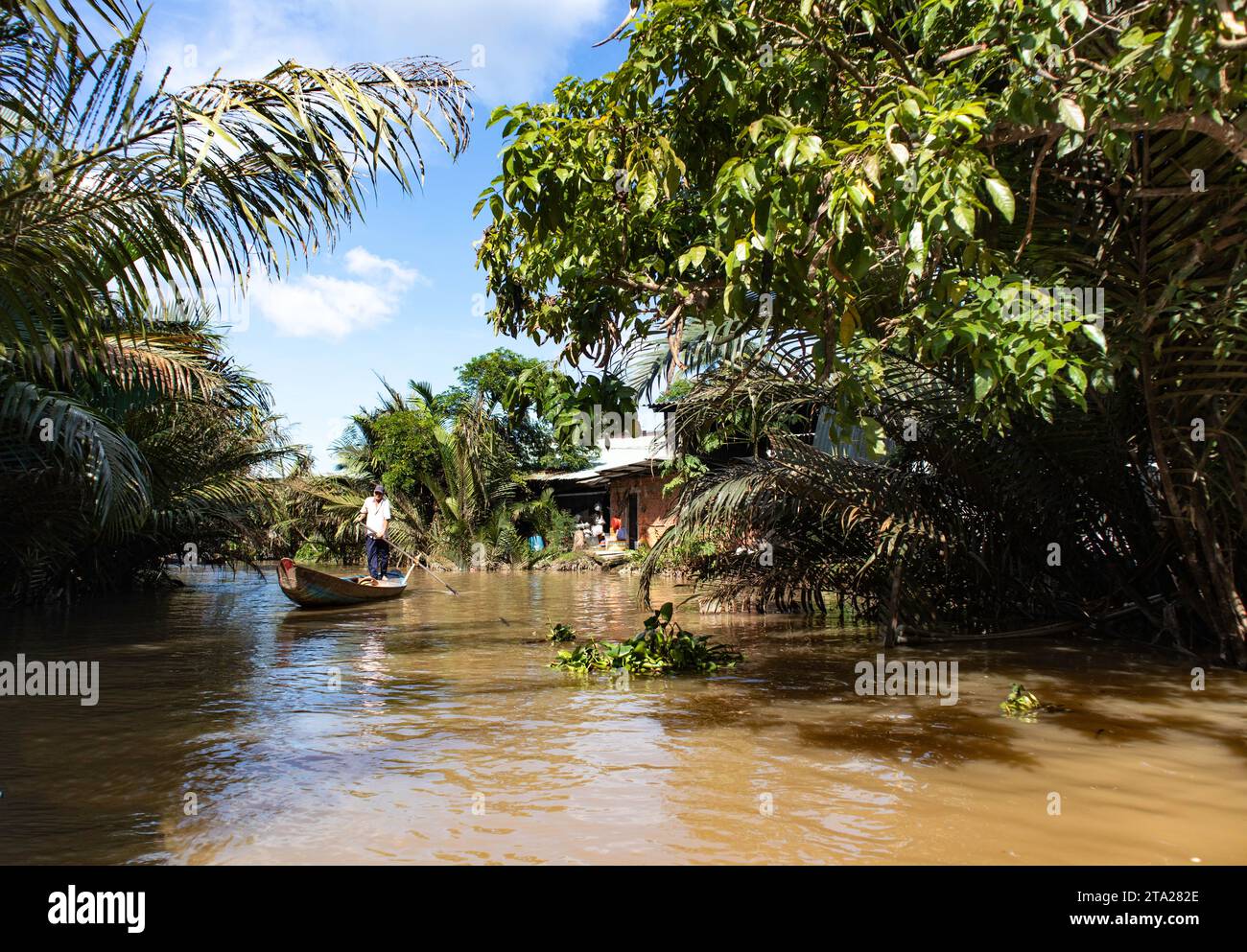 Mekong Delta river, Vietnam Stock Photo - Alamy