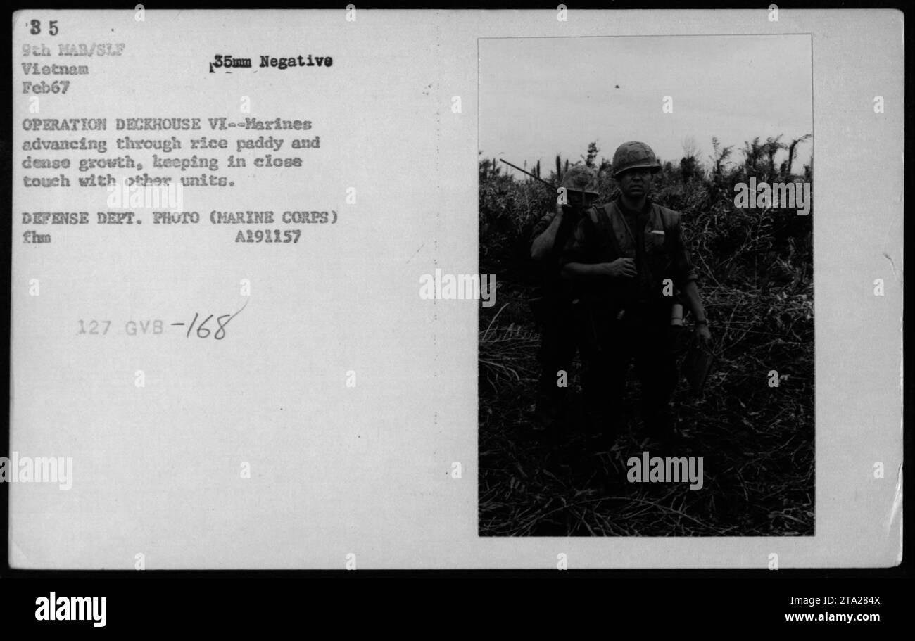 Marines maneuver through rice paddies and dense vegetation during ...