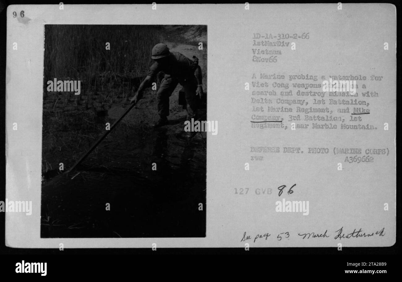 Marine soldiers searching for potential Viet Cong weapons near Marble ...