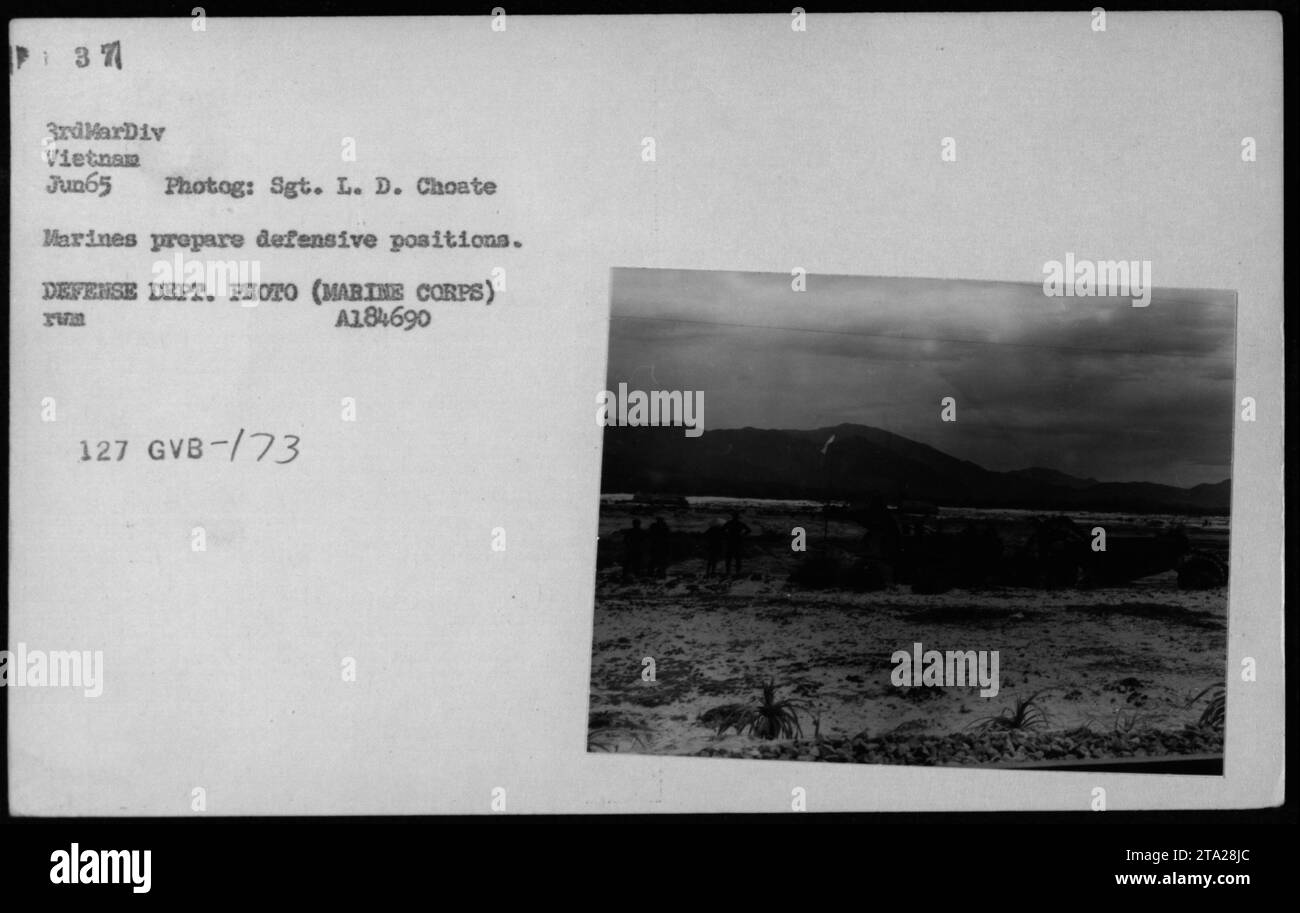 In June 1965, Marines from the 3rd Marine Division in Vietnam ...