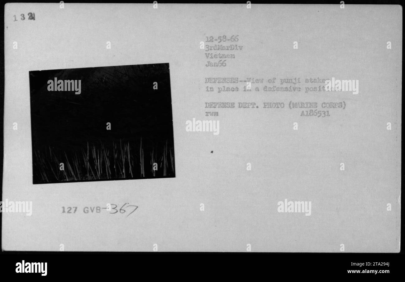 A photograph showing a defensive position during the Vietnam War. Punji ...