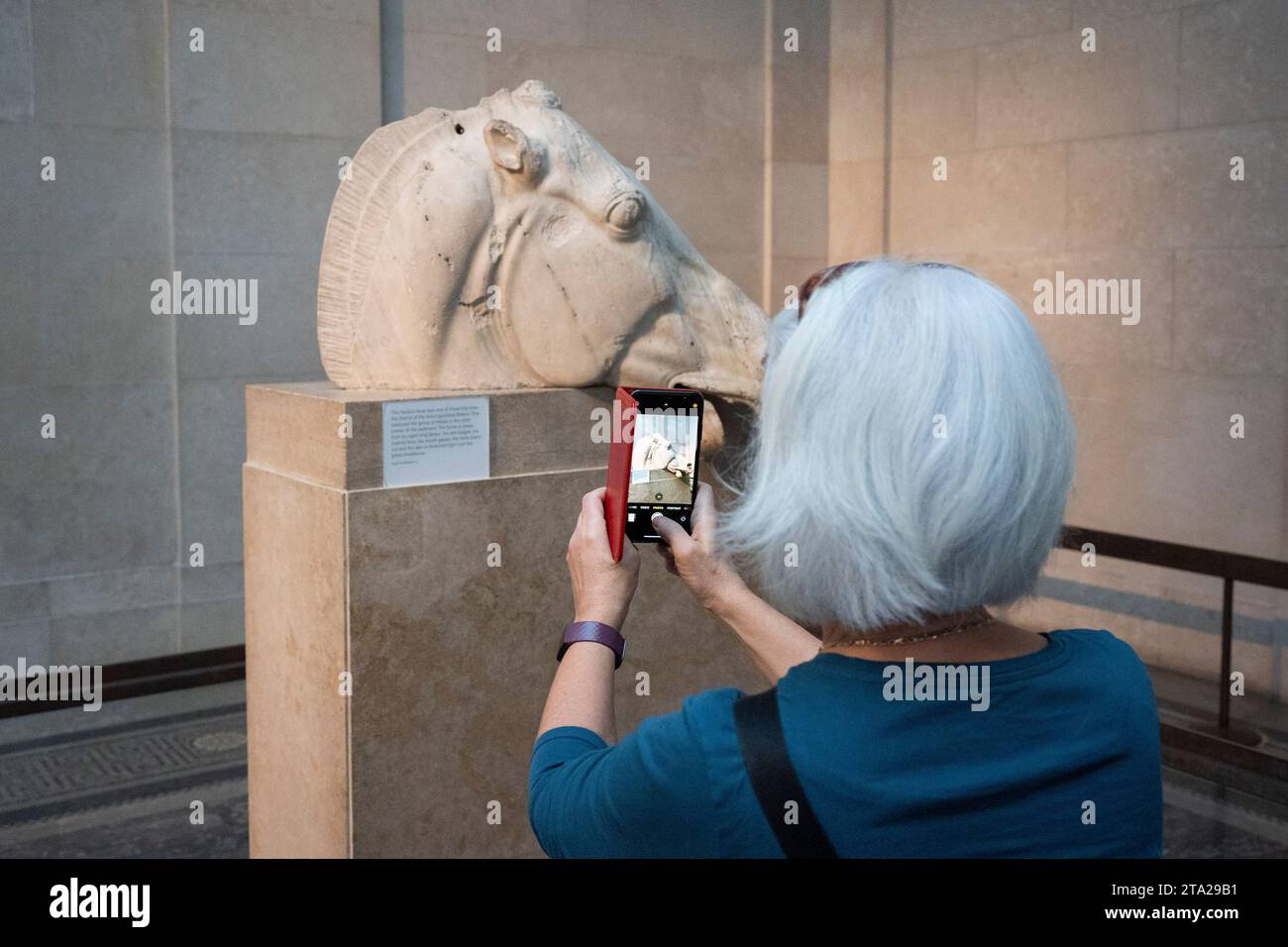 Visitors in London's British Museum admire the horse's head, one of the ...