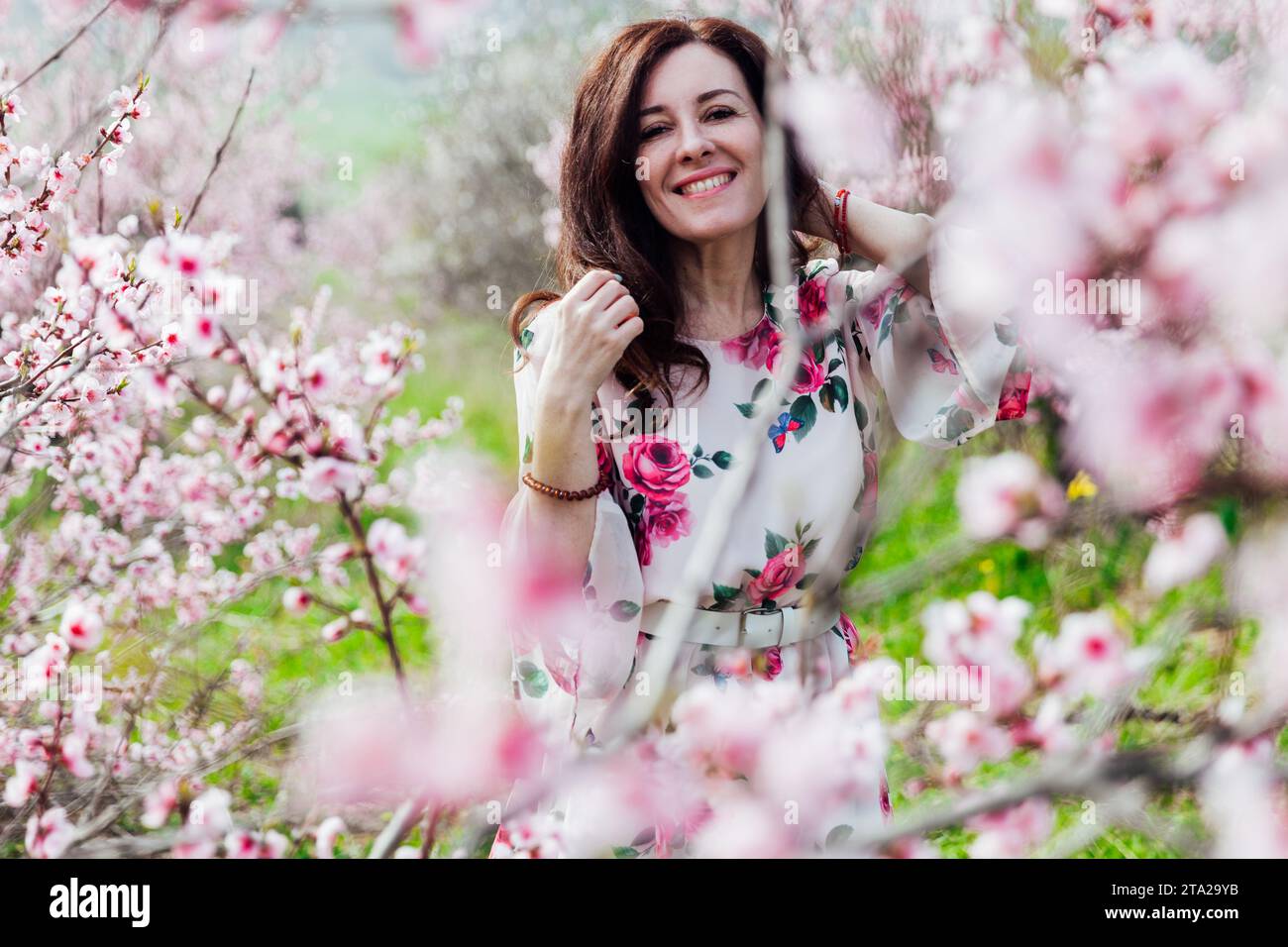 spring nature travel walk beautiful woman brunette in flowering trees ...