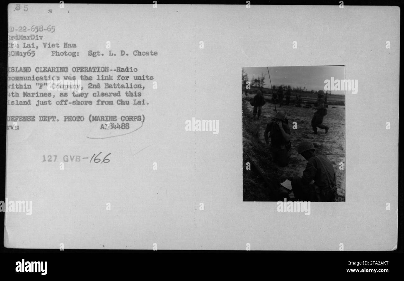 On May 30, 1965, U.S. Marines from 'P' Company, 2nd Battalion, 5th ...