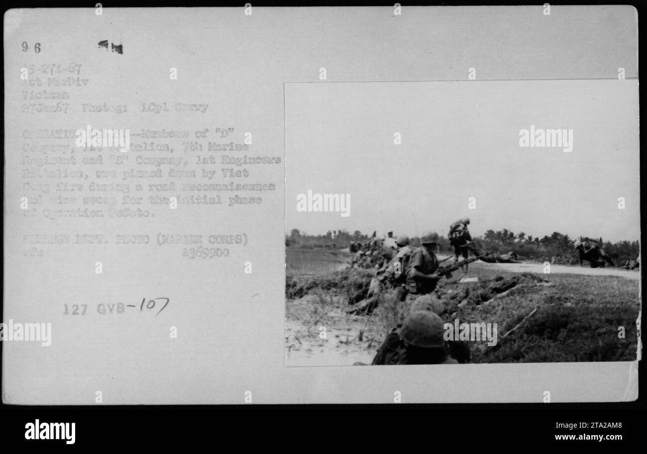 Members of D Company, 1st Battalion, 7th Marine Regiment, and B Company ...