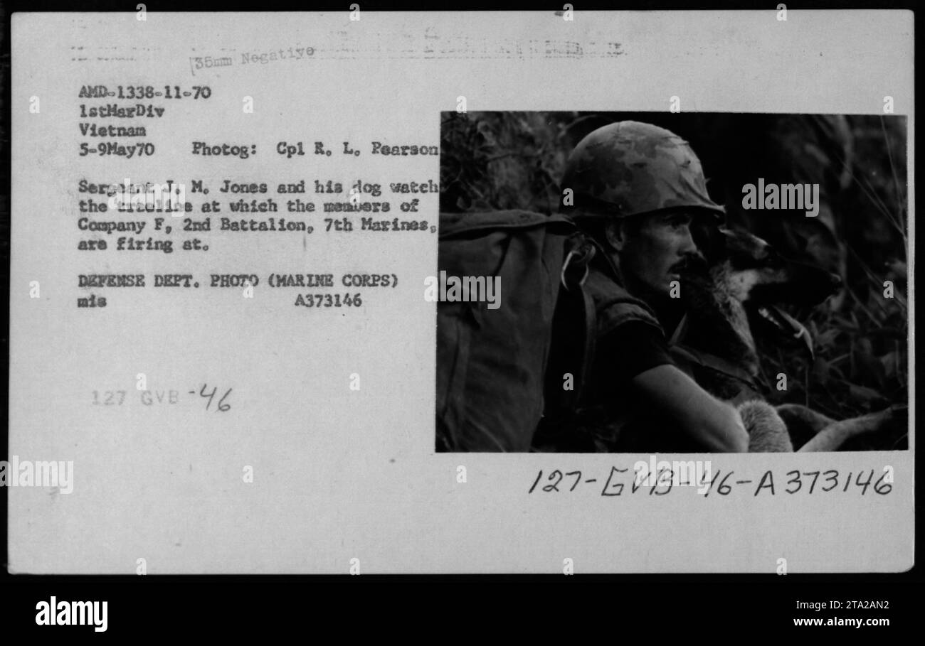 Sgt. J.M. Jones and his K9 partner observe the treeline as members of ...