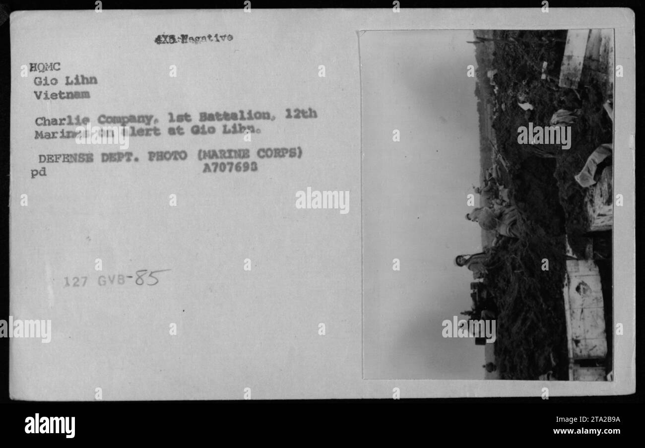 Soldiers from Charlie Company, 1st Battalion, 12th Marines remain on ...