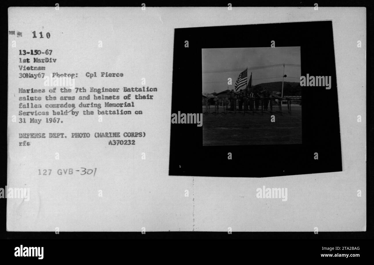 Members of the 7th Engineer Battalion in the 1st Marine Division ...