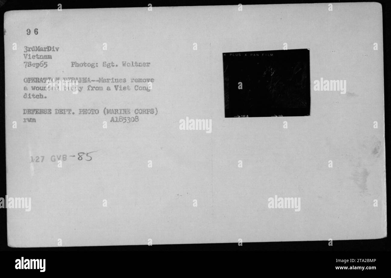 Viet cong ditch hi-res stock photography and images - Alamy