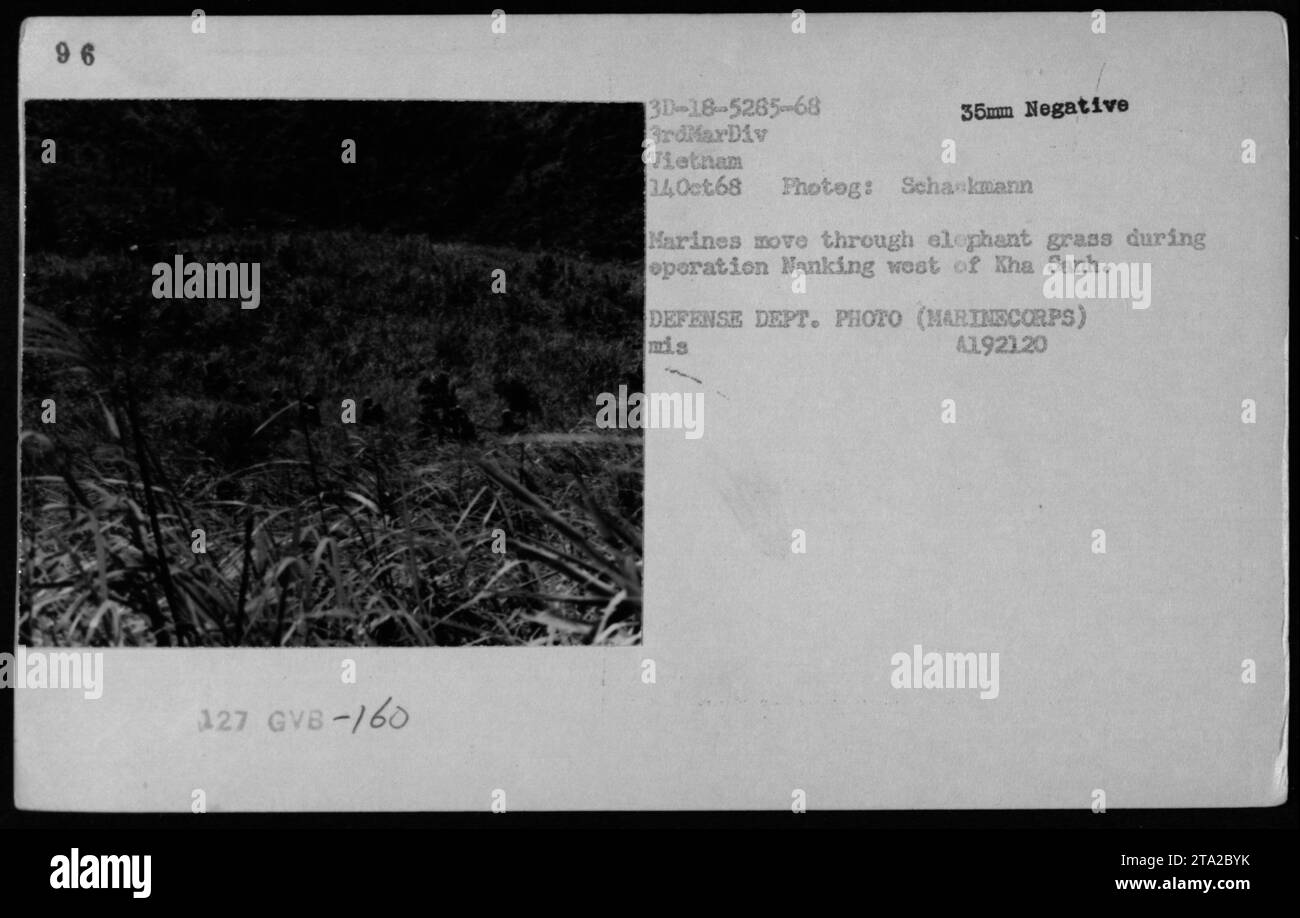 Schankmann hi-res stock photography and images - Alamy