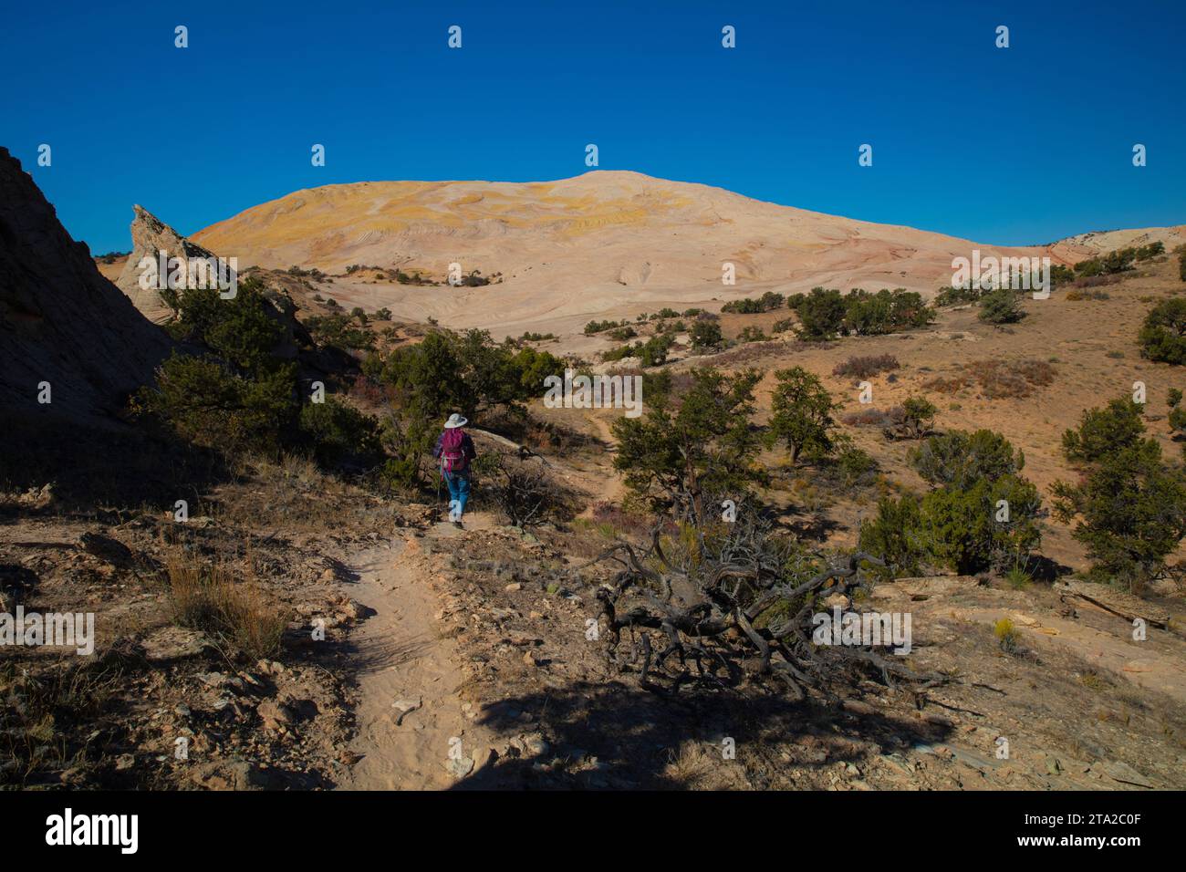Classic American Landscapes: East Kaibab Monocline: a scenic area of ...