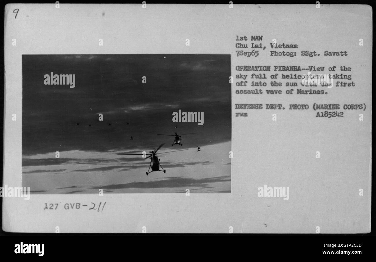 During Operation PIRANHA on September 7, 1965, in Chu Lai, Vietnam ...