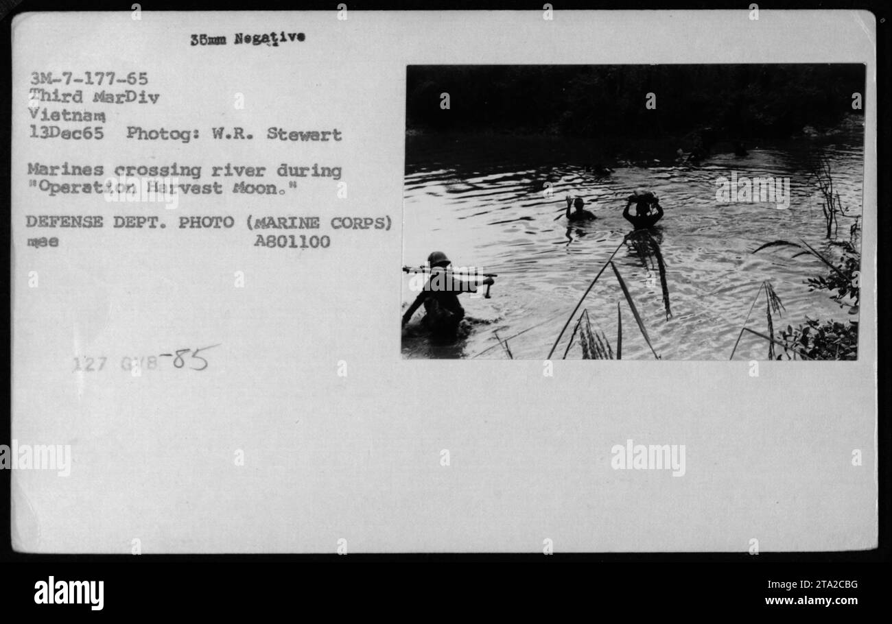 Marines from the Third Marine Division are seen crossing a river during ...