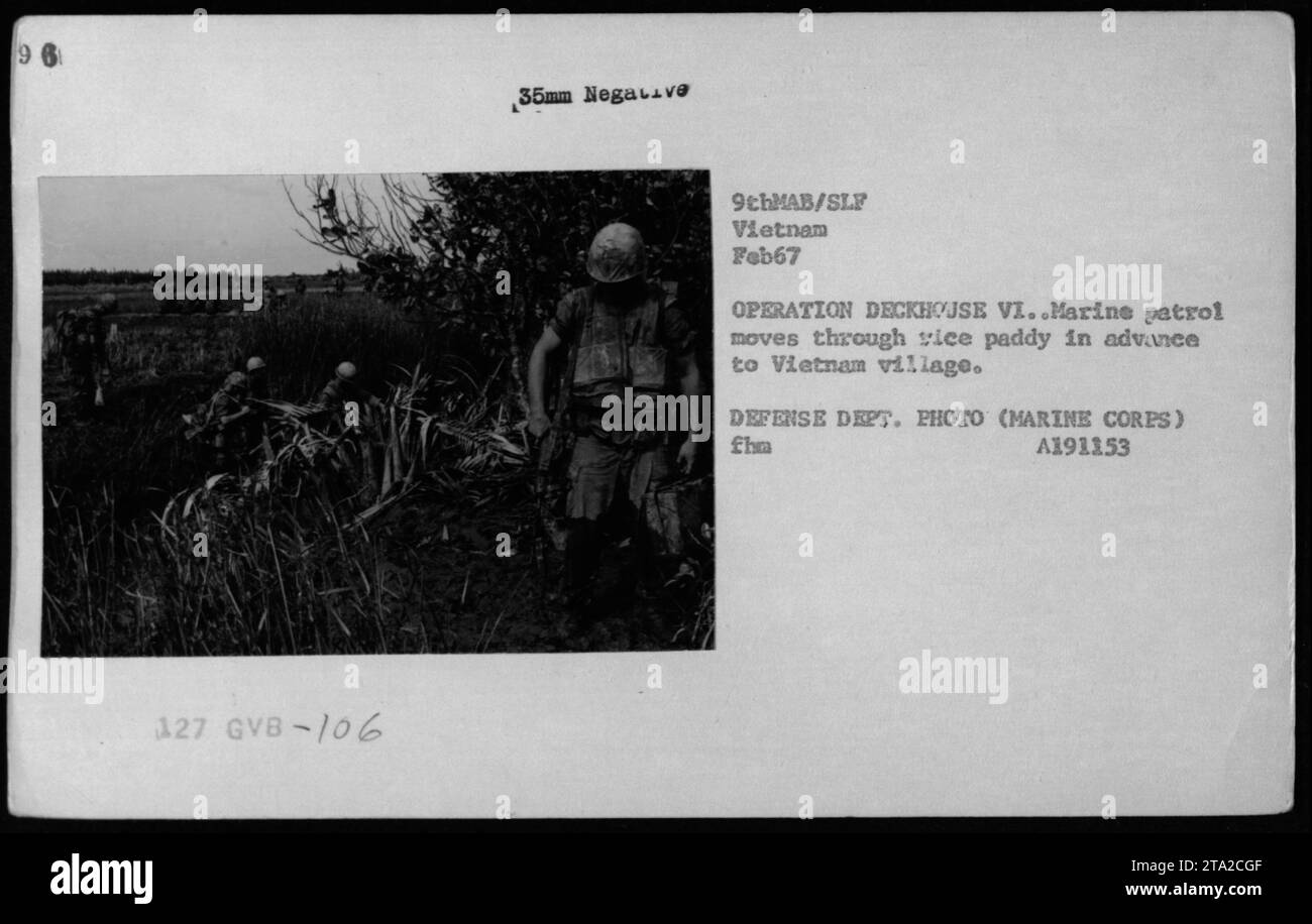 Rice paddy patrol hi-res stock photography and images - Alamy