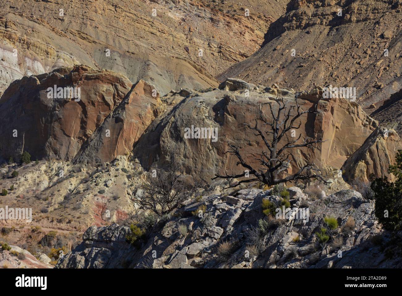 Classic American Landscapes: East Kaibab Monocline: a scenic area of ...