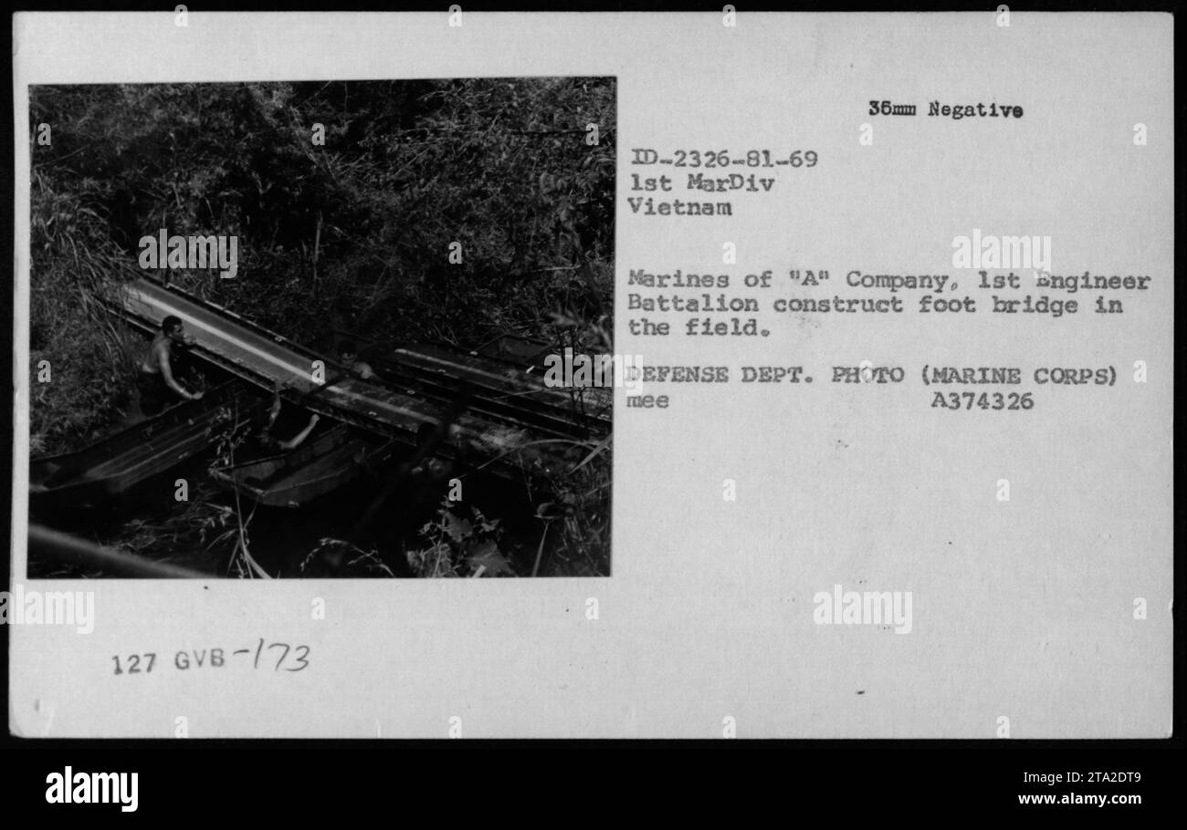 Marines of "A" Company, 1st Engineer Battalion constructing a foot ...