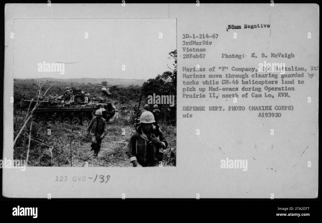 Marines from G Company, 2nd Battalion, 9th Marines advance through a ...