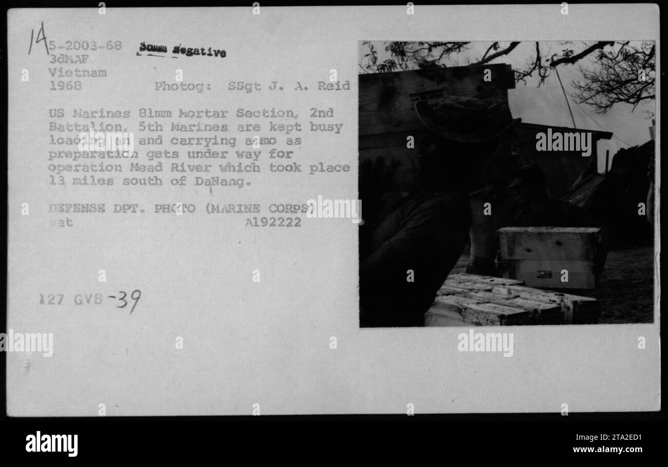 US Marines from the 81mm Mortar Section of the 2nd Battalion, 5th ...