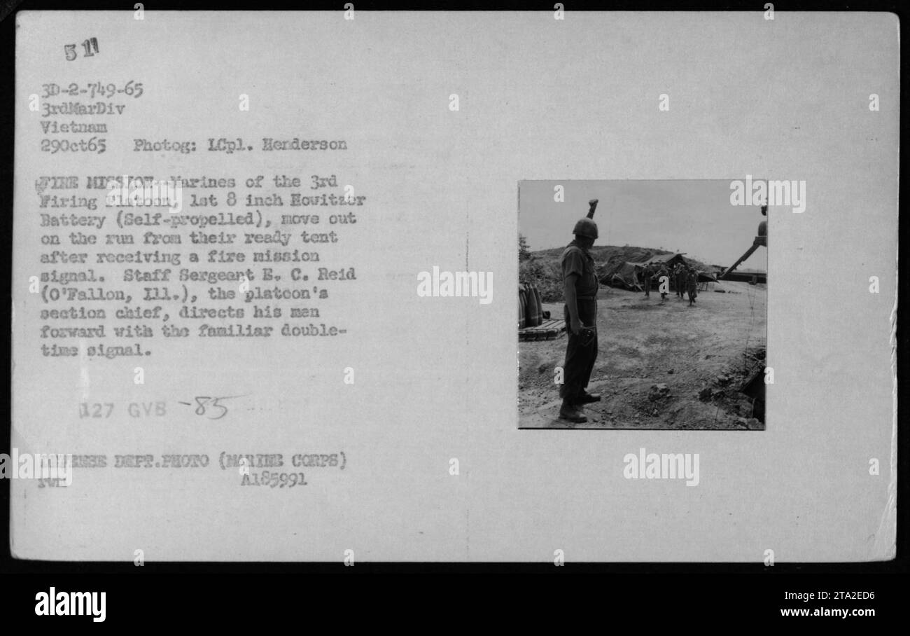 Marines of the 3rd Firing Platoon, 3rd Marine Division in Vietnam, are ...