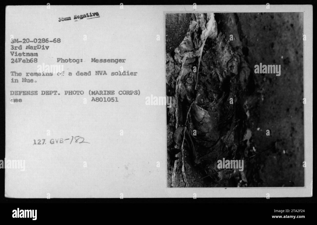 Caption: The remains of a deceased North Vietnamese Army (NVA) soldier ...
