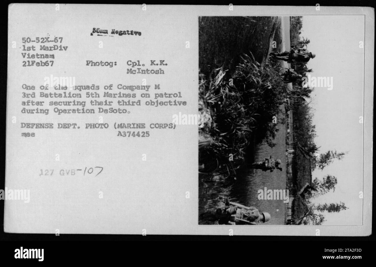 3rd battalion 5th marines hi-res stock photography and images - Alamy