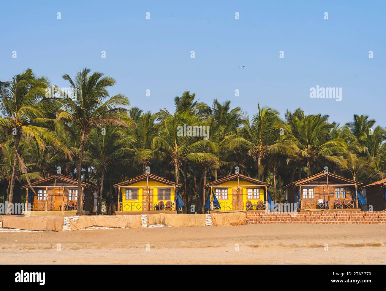 Colorful huts in Agonda beach with palm trees in Goa, India Stock Photo ...