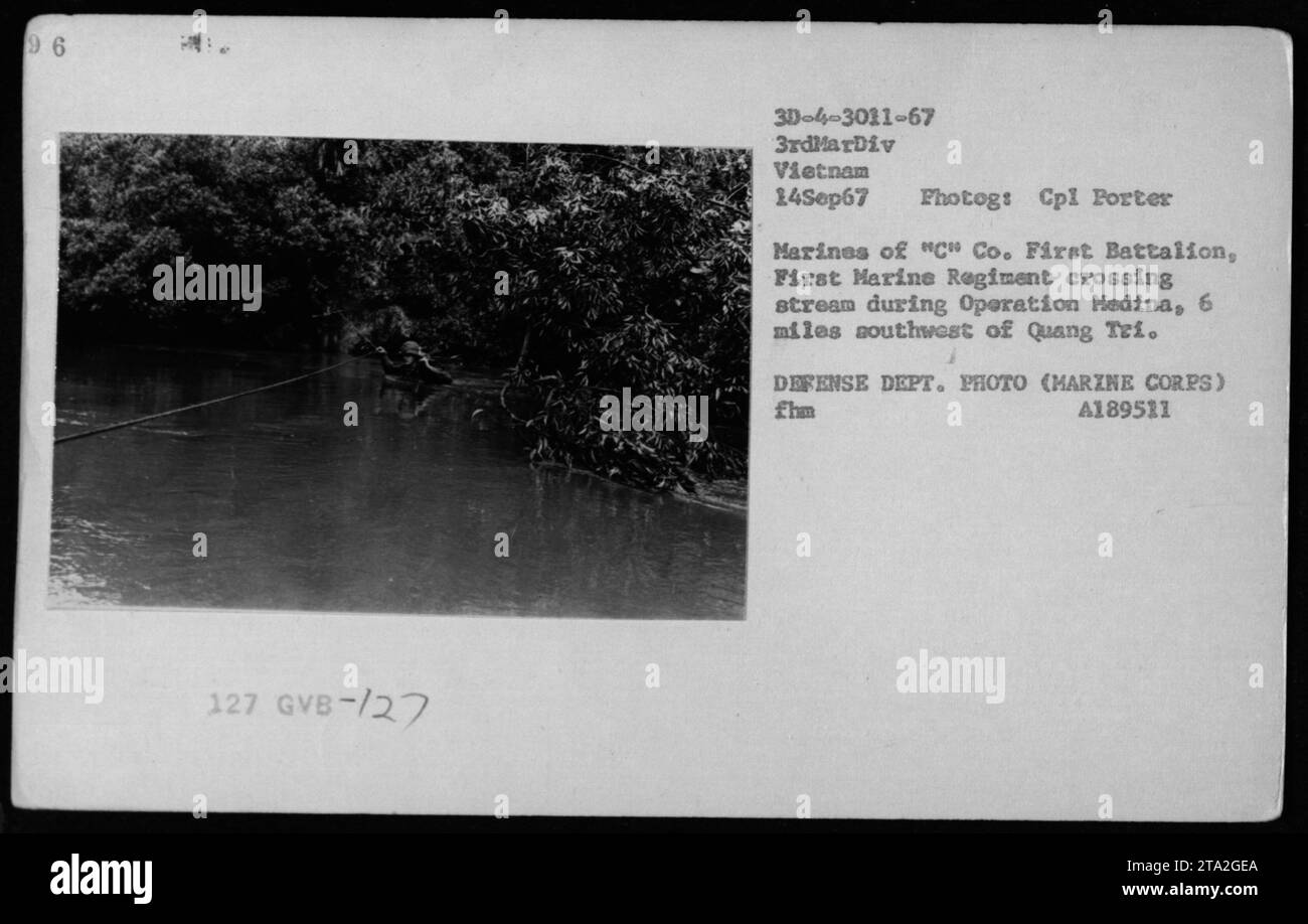 Marines from "C" Company, First Battalion, First Marine Regiment wade ...