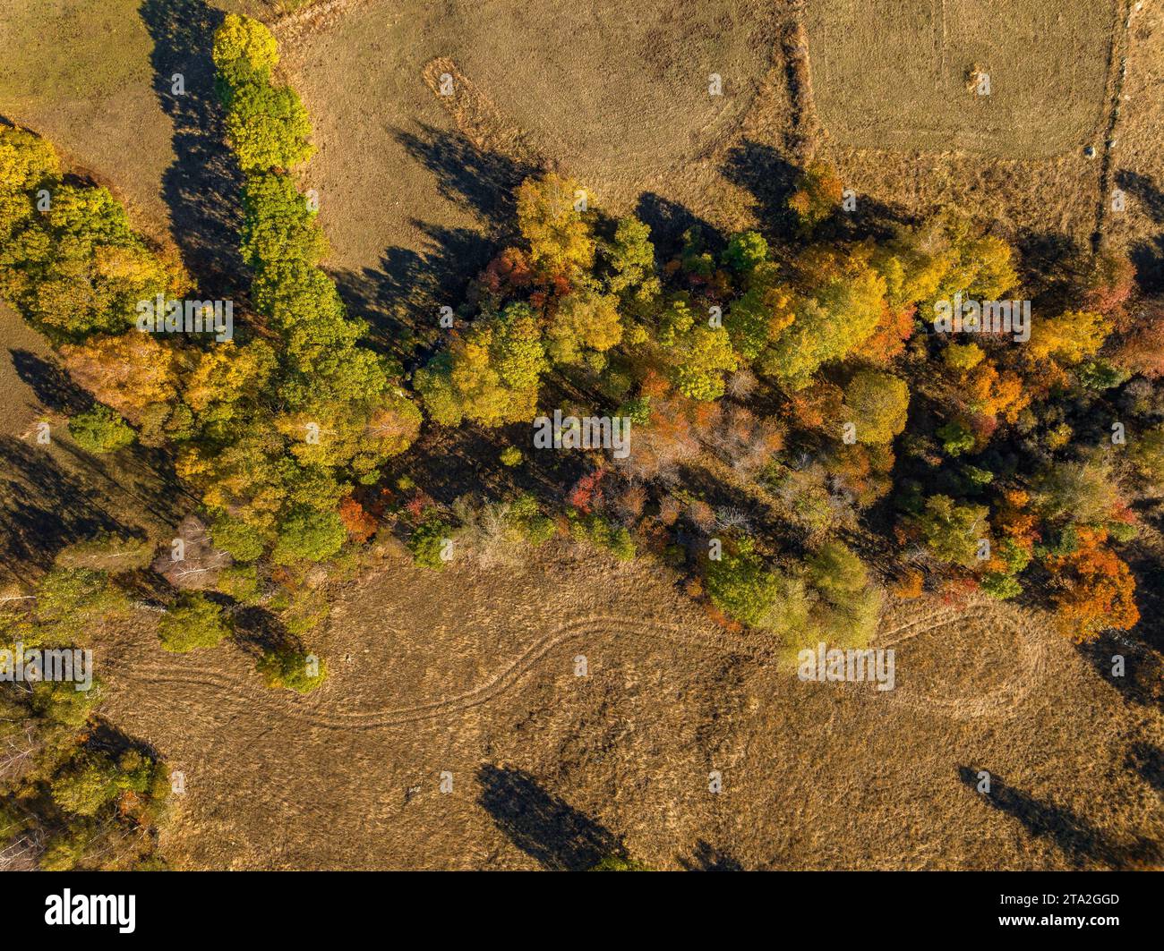 Aerial view of the Eyne Valley in autumn (Haute Cerdagne, Pyrénées ...