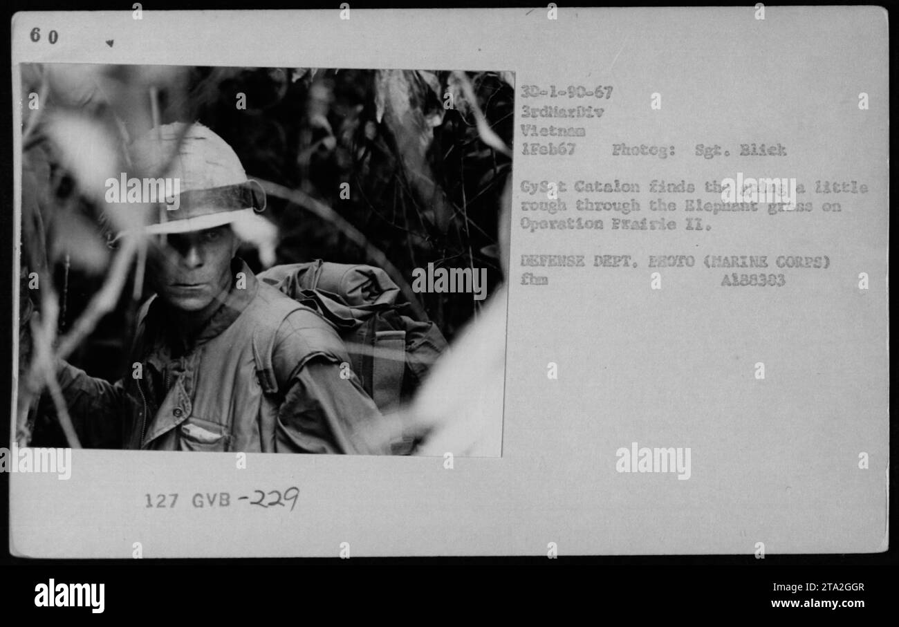 Gvb 229 hi-res stock photography and images - Alamy