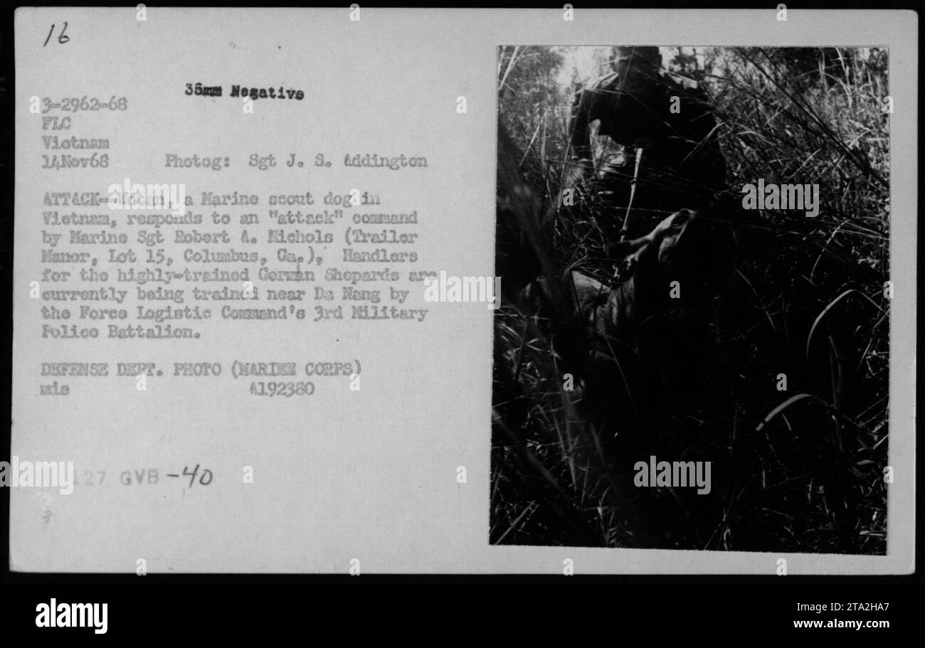 On November 14, 1968, Sgt. Robert A. Michols commands Marine scout dog ...