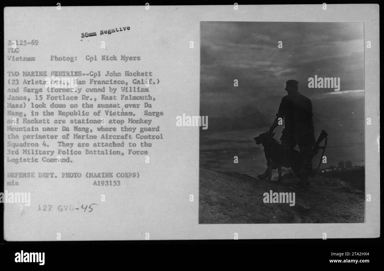 In 1969, Marine sentry Cpl John Hackett and his dog Sarge guarded the ...