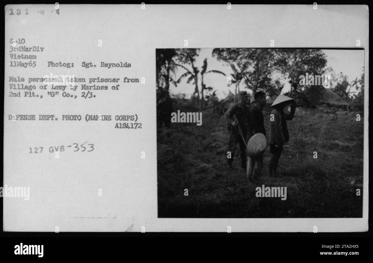 Marines capture Viet Cong suspects and prisoners from the Village of ...