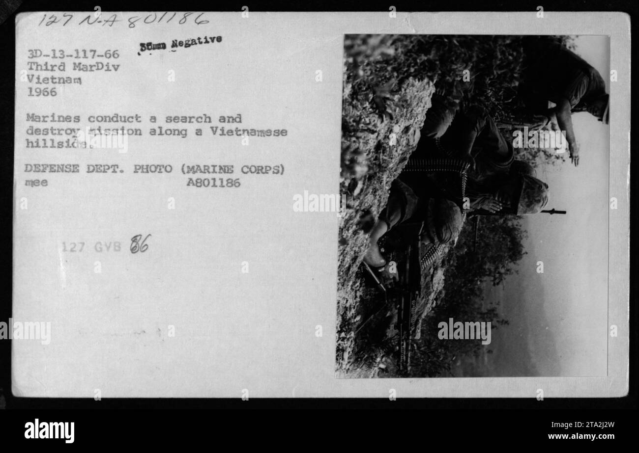 Marines from the Third Marine Division carry out a search and destroy ...