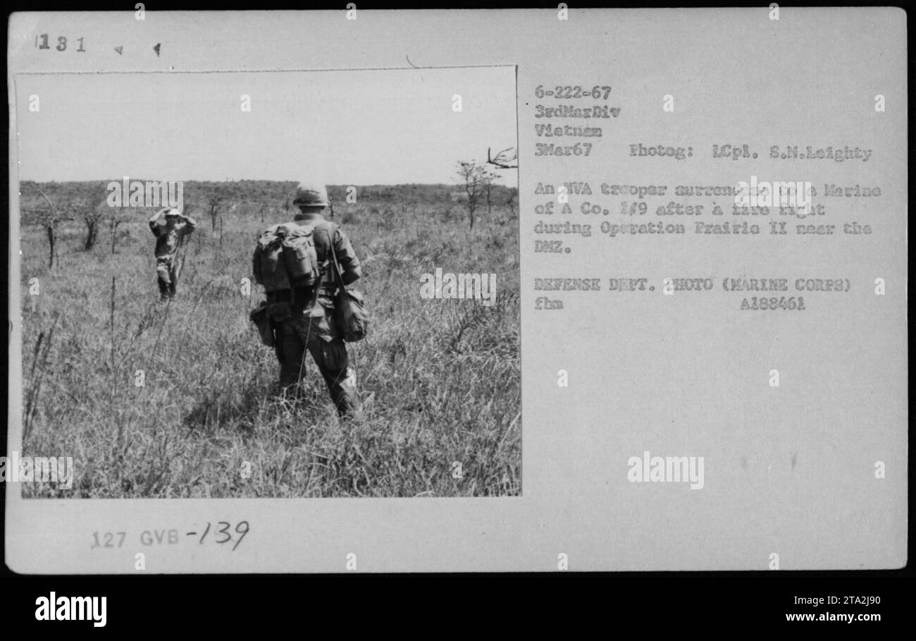 On March 3, 1967, near the DMZ, a North Vietnamese trooper surrendered ...
