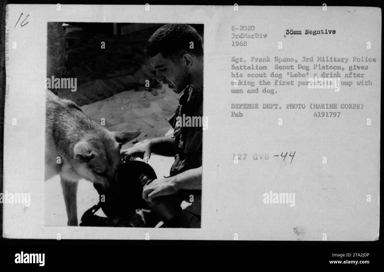 Sgt. Frank Spano of the 3rd Military Police Battalion Scout Dog Platoon ...