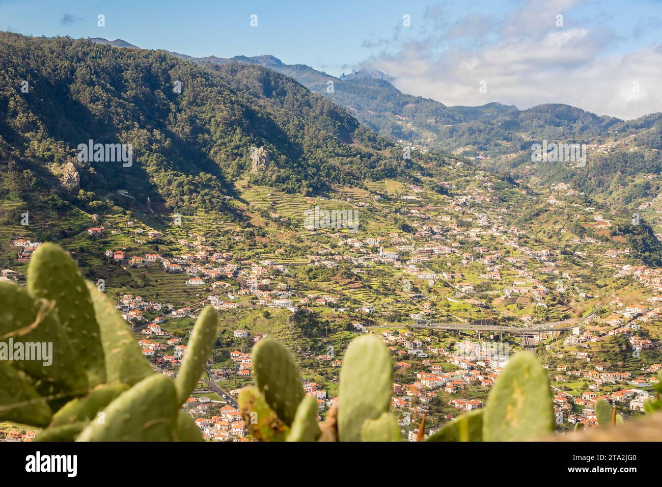 Madeira stadium hi-res stock photography and images - Alamy