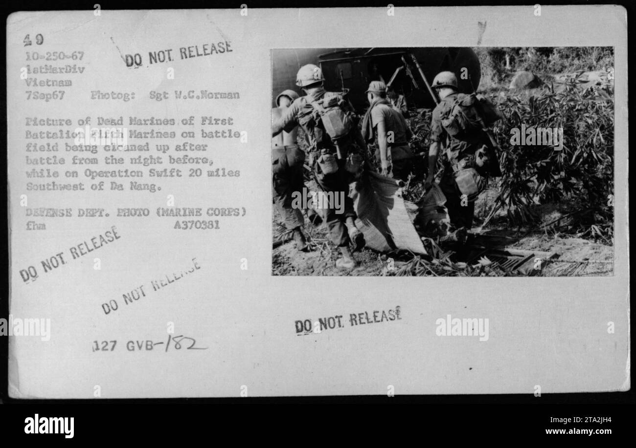 Image shows the aftermath of a battle in Vietnam, where dead Marines ...