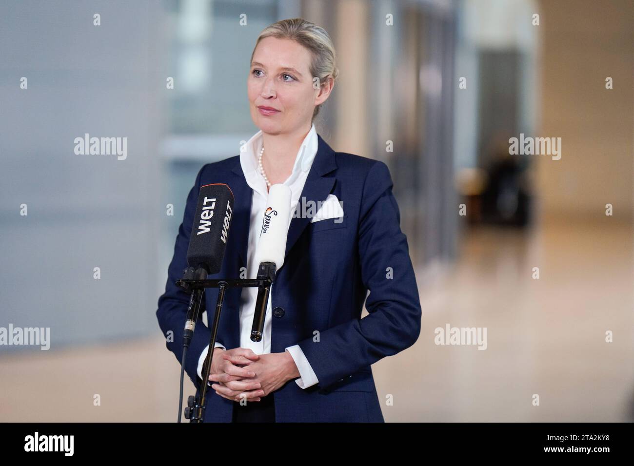 Alice Weidel, AfD, MdB Alice Weidel, AfD, MdB im Bundestag Berlin ...