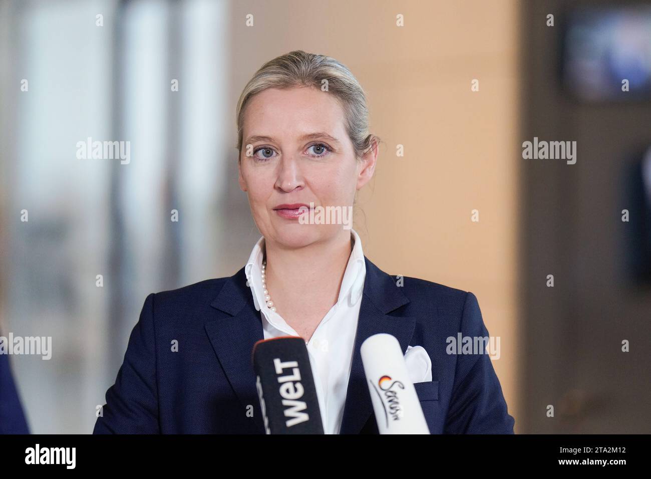 Alice Weidel, AfD, MdB Alice Weidel, AfD, MdB im Bundestag Berlin ...