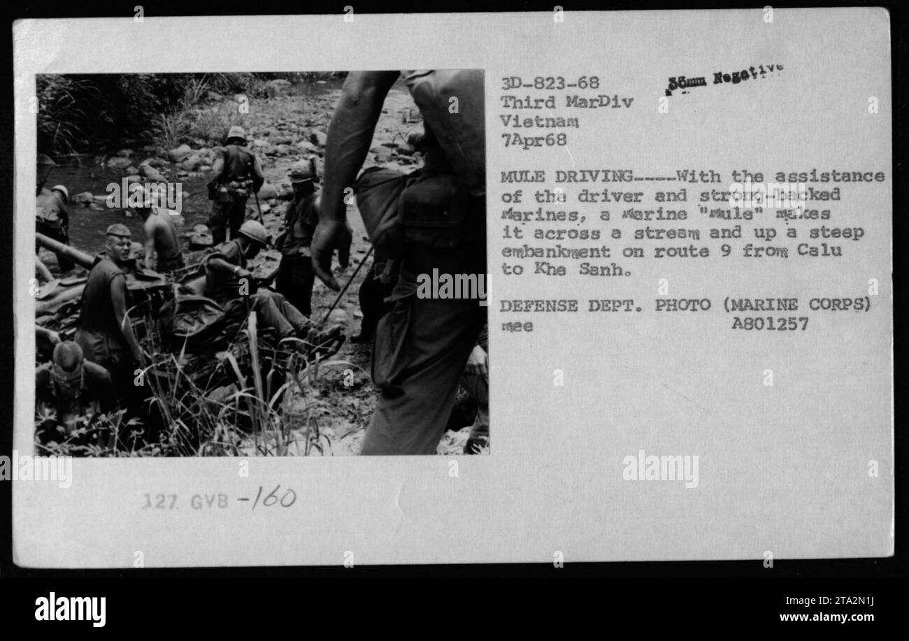 Marine Corps personnel guide a Mule vehicle across a stream and up an ...