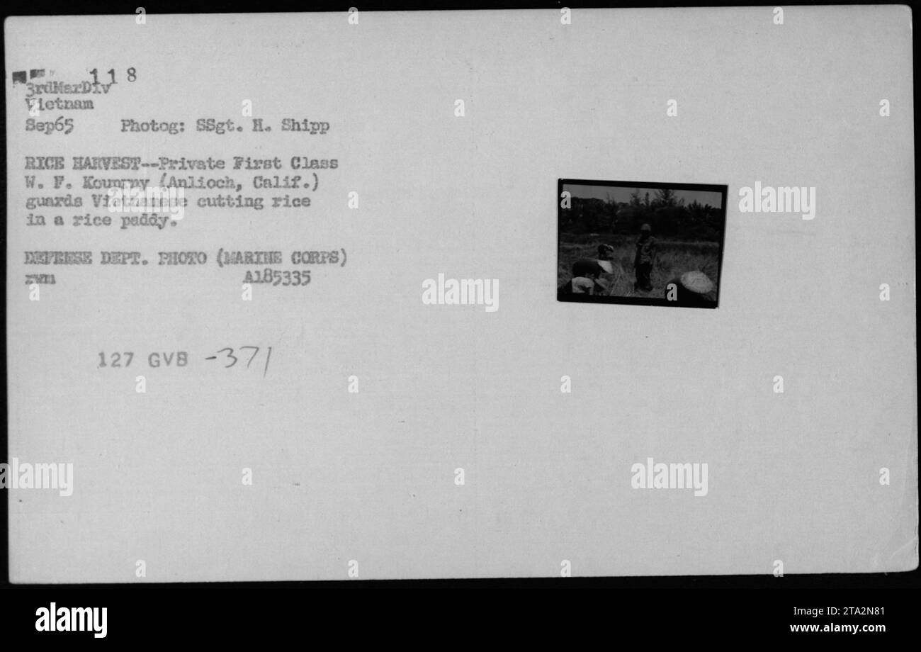 Vietnamese f Black and White Stock Photos & Images - Alamy