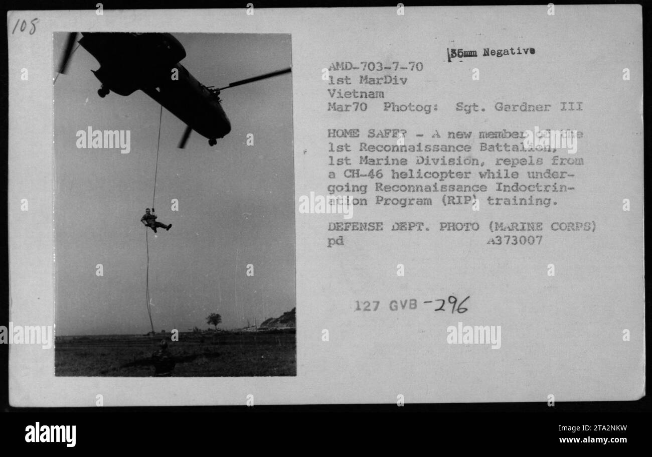 A member of the 1st Reconnaissance Battalion, 1st Marine Division ...