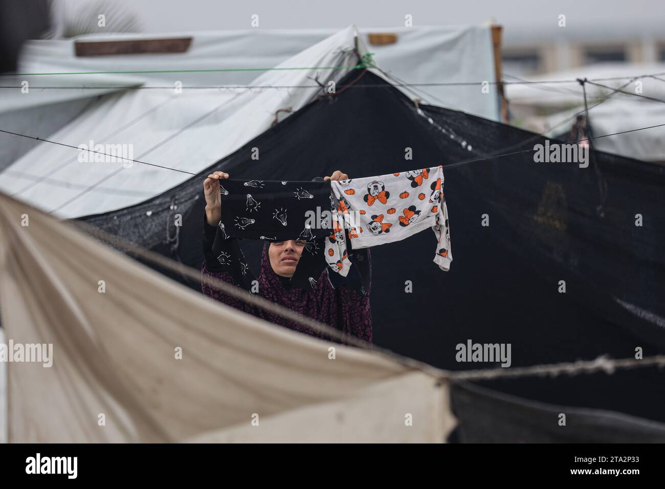 Gaza, Gaza, Palestine. 26th Nov, 2023. Palestinian woman spreads her ...