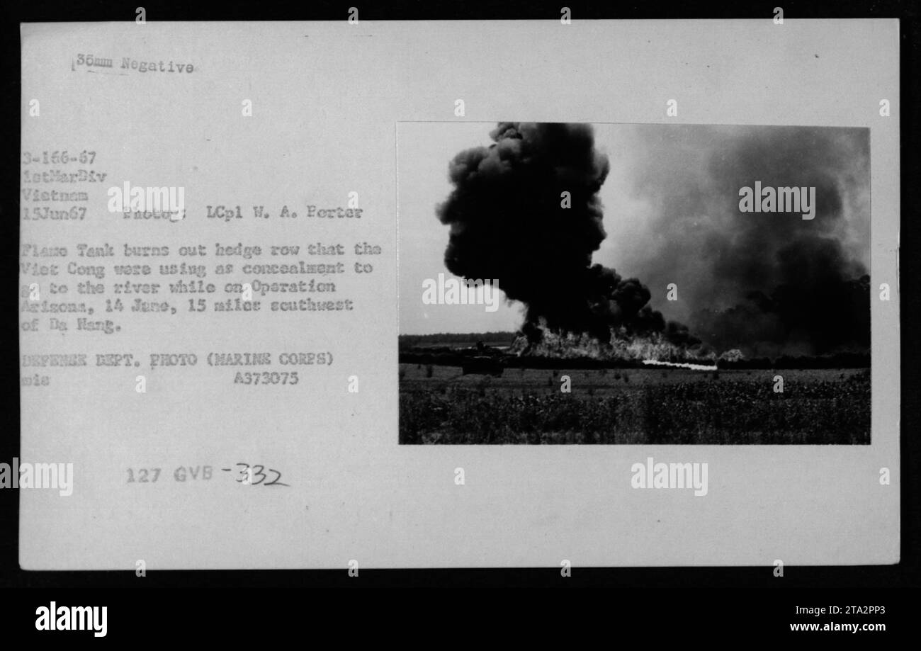 A tank from the Marine Corps' LotMarDiv sets a hedge row ablaze on June ...