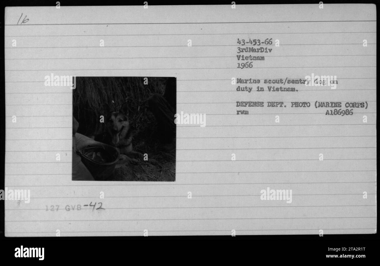 Us marine activities Black and White Stock Photos & Images - Alamy