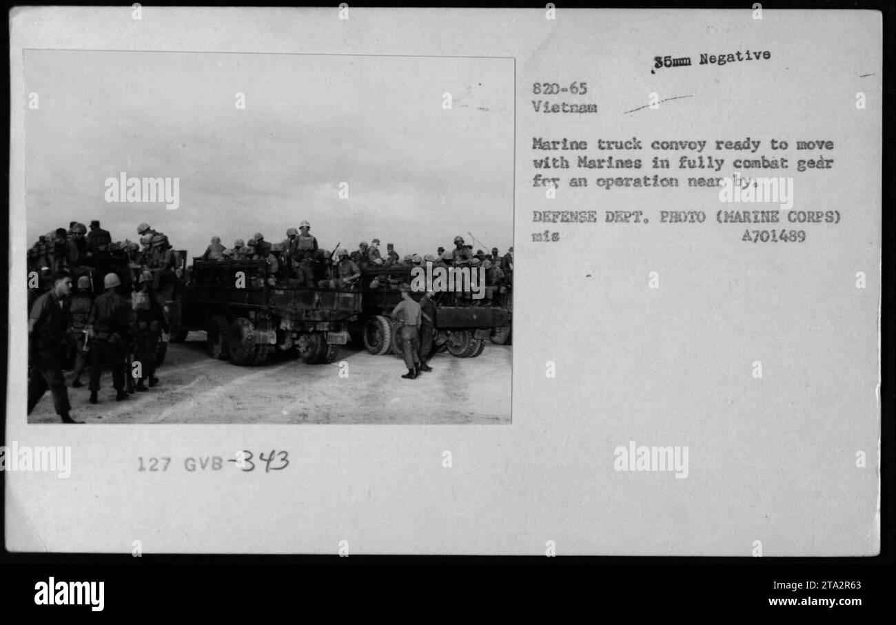 Mules in vietnam war hi-res stock photography and images - Alamy