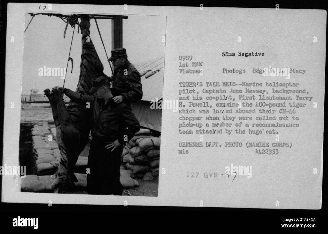 Marine helicopter pilot, Captain Jene Massey, and his co-pilot, First ...