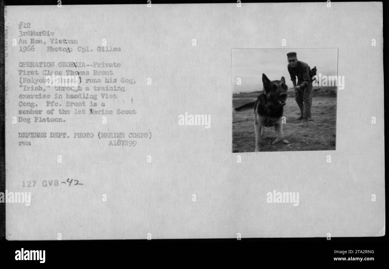 Pfc. Thomas Brent of the 3rd Marine Division conducts a training ...